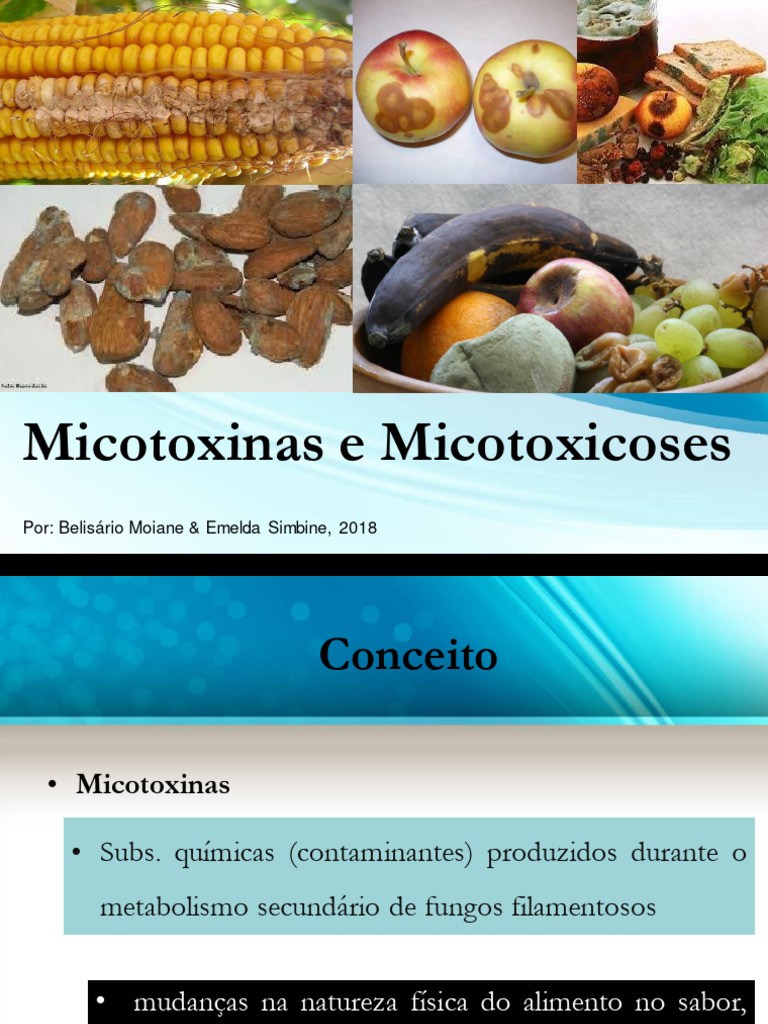 Micotoxinas: Impactos e Ocorrências | PDF | Micotoxina | Fungo