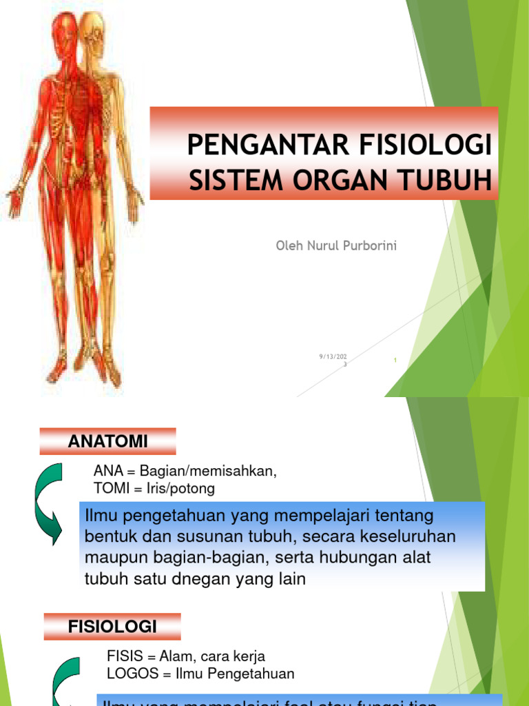 Pengantar Anatomi Dan Fisiologi | PDF