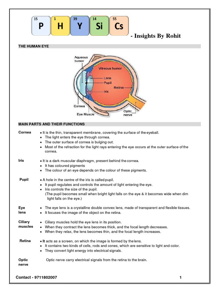 Human Eye Notes | PDF | Eye | Atmosphere Of Earth