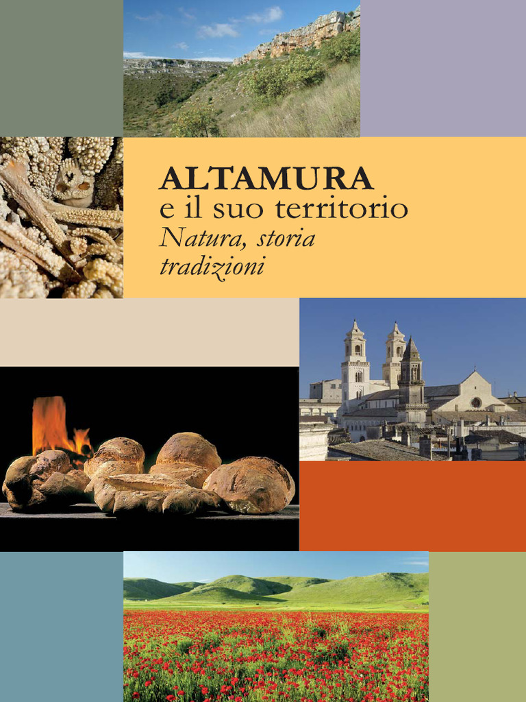 Guida Altamura | PDF