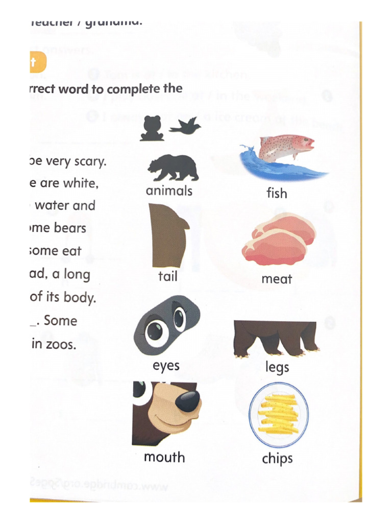 Rect Word To Complete The | PDF