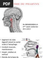 Anat Physio ORL | PDF | Oreille | Système vestibulaire