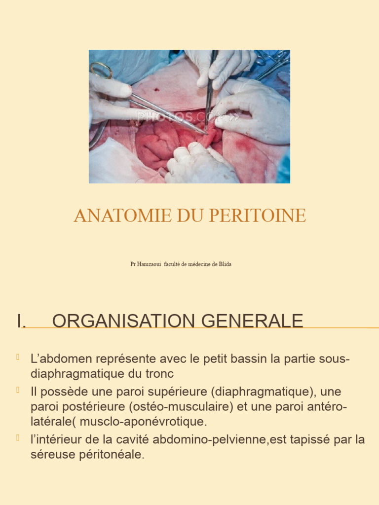 3anatomie Du Peritoine | PDF