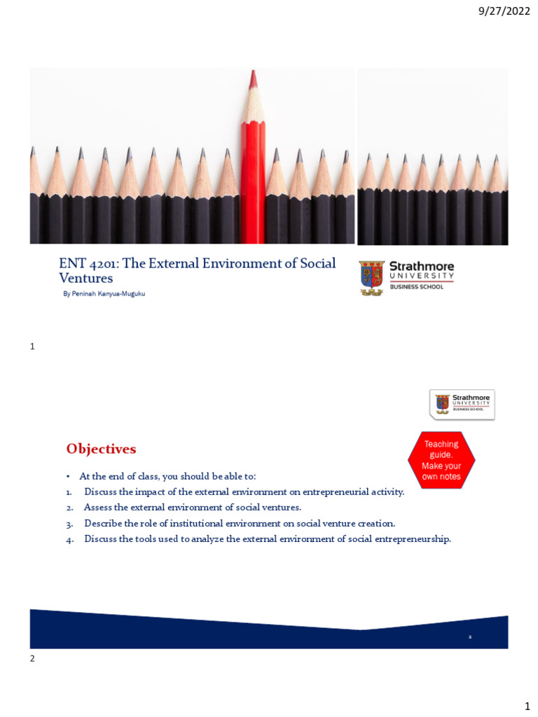Analyzing Social Ventures' External Environment | PDF