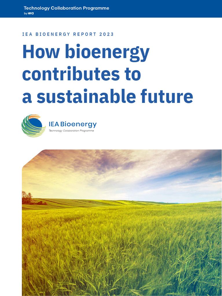 Iea Bioenergy Report | PDF | Ciencia y matemáticas