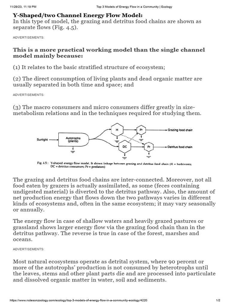 Y Shaped Model | PDF