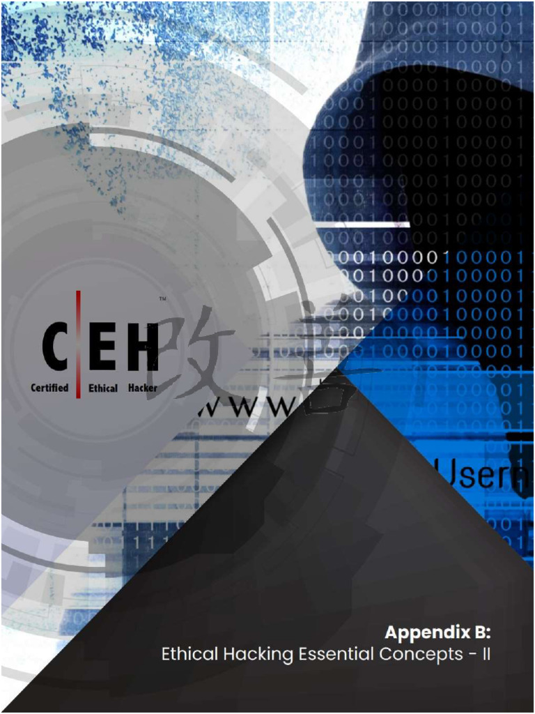 CEH v11 - Appendix B | PDF