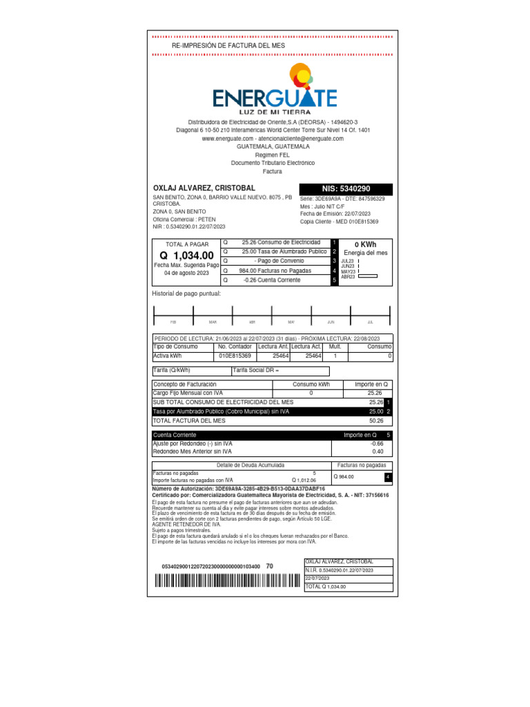 Factura - PDF Energuate | Descargar gratis PDF | Factura | Economias