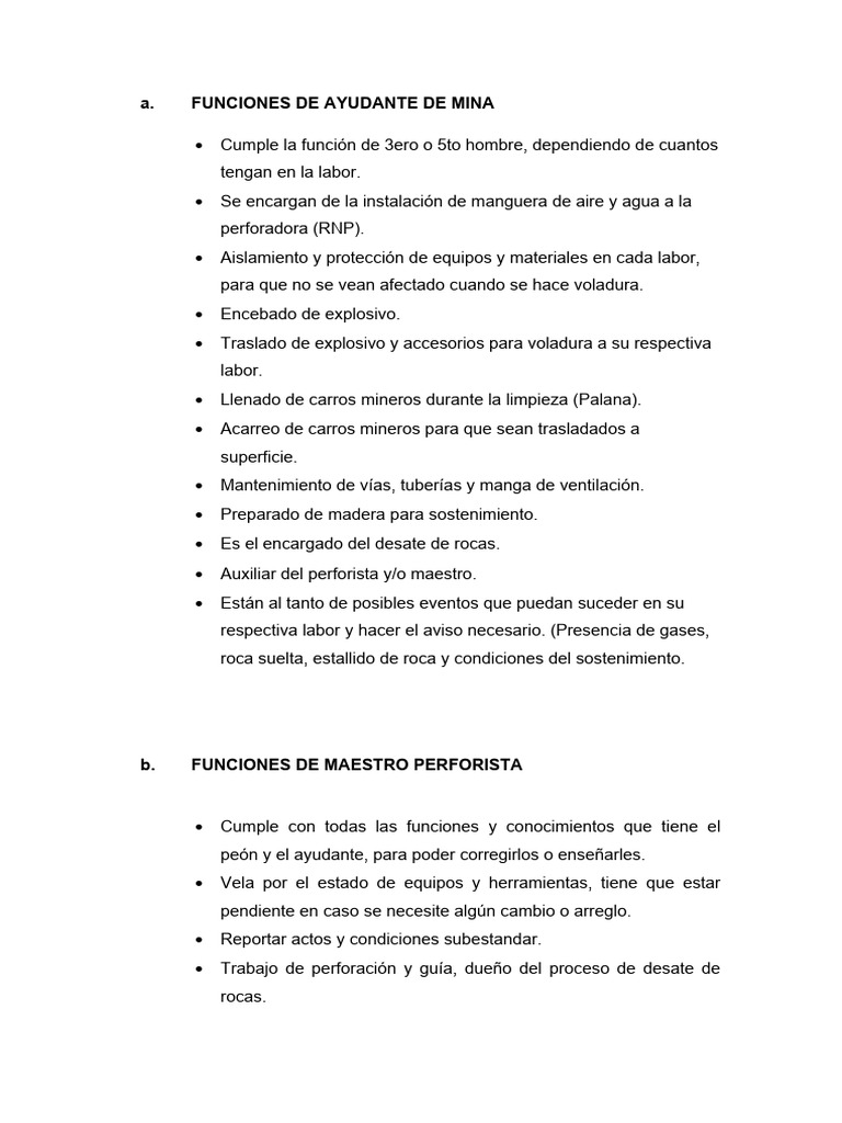 Funciones de Personal Mina | PDF | Minería