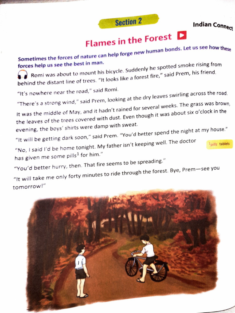 Flames in The Forest | PDF | Elephant