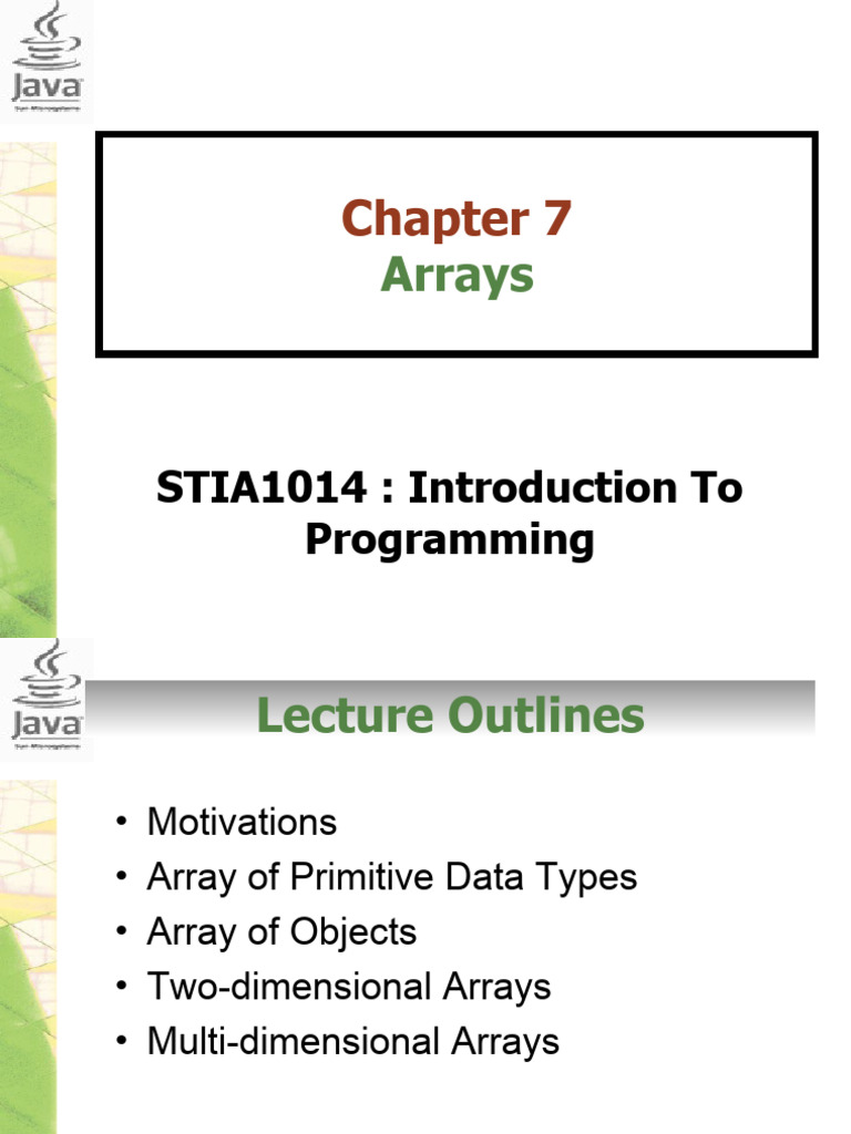Chapter7 Arrays Programming I Pdf Variable Computer Science Parameter Computer