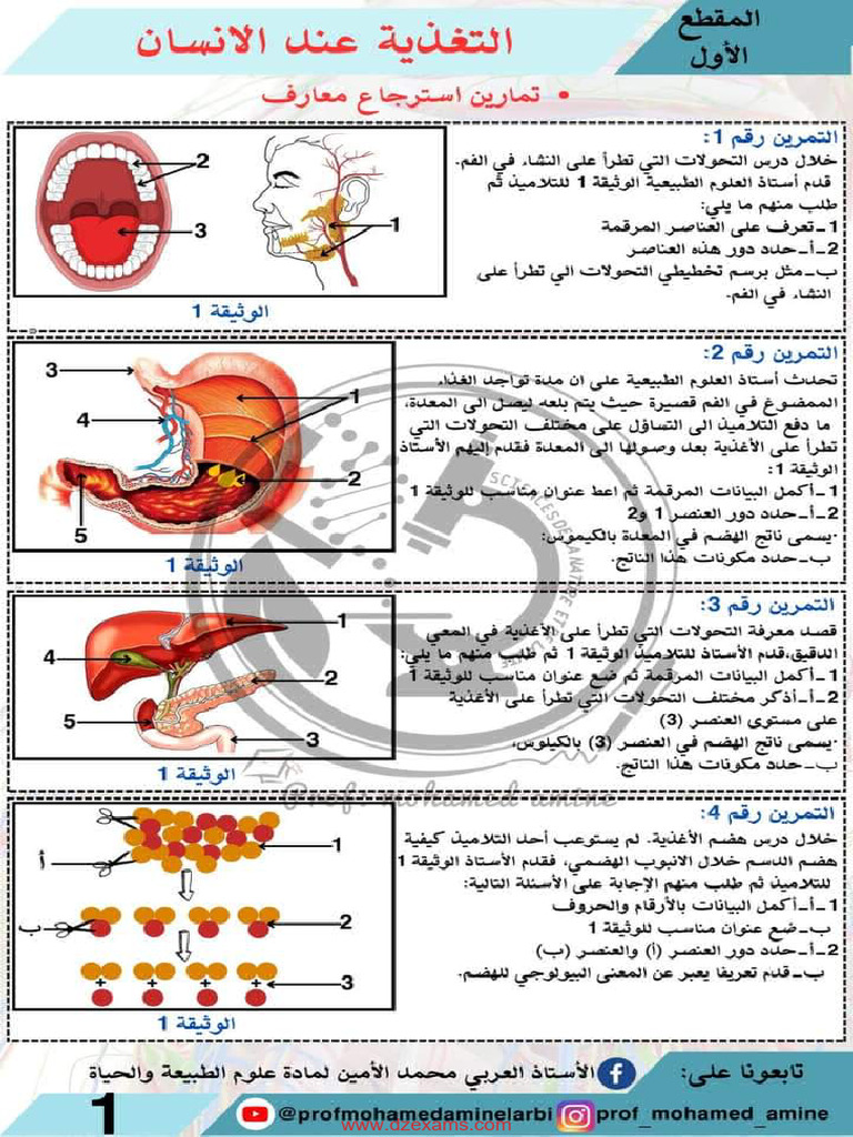 Dzexams 4am Sciences Naturelles 803574 | PDF