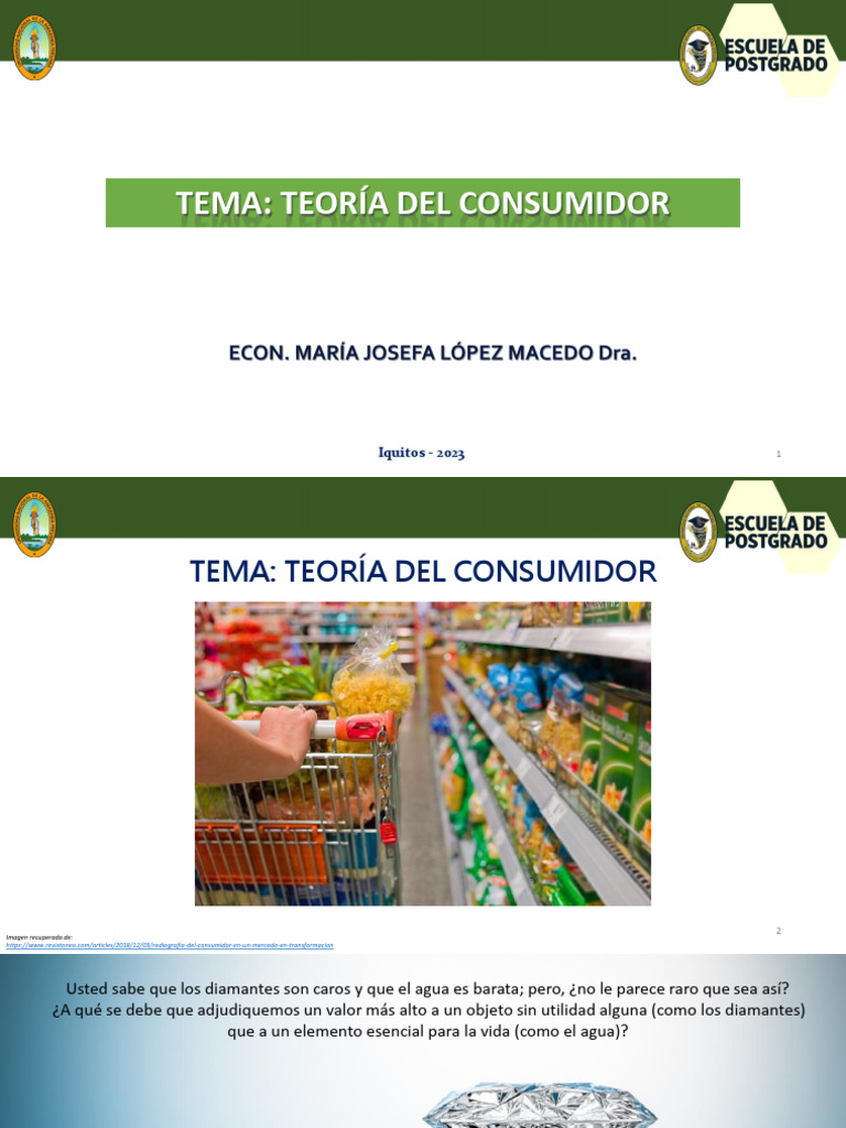 Teoría Del Consumidor | PDF