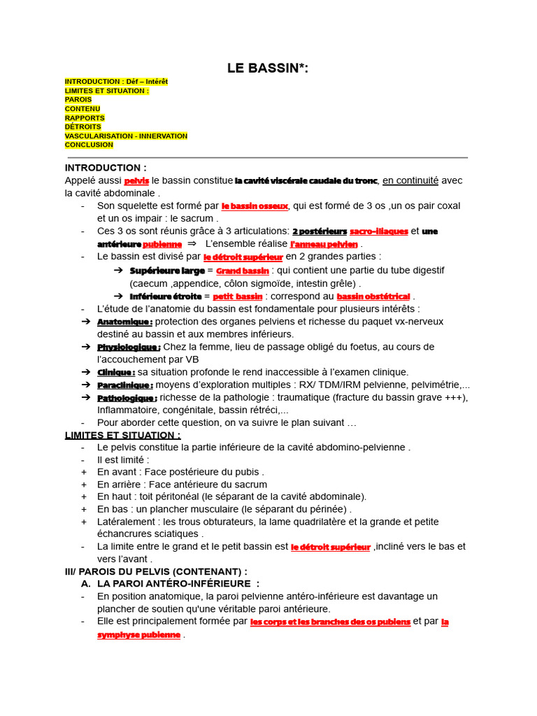 Anatomie du Bassin Humain | PDF | Bassin (anatomie) | Rectum