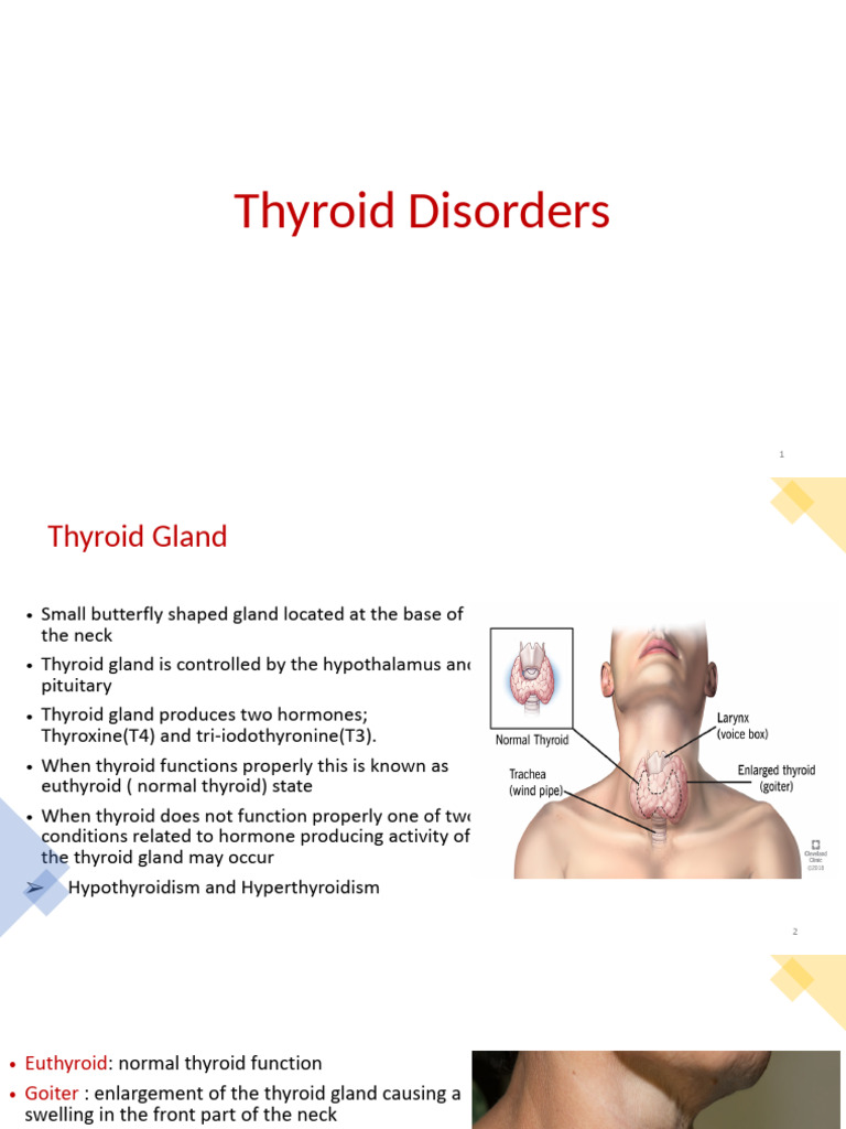 Thyroid | PDF | Hypothyroidism | Hyperthyroidism