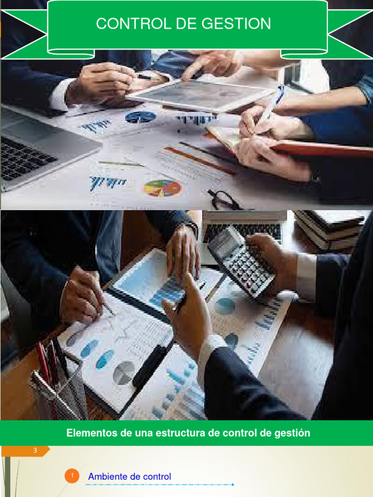 Estructura y Objetivos del Control Interno | PDF