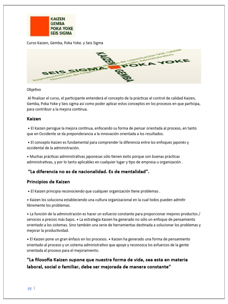 Curso KaizenGemba Poka Yoque y Seis Sigma | PDF | Six Sigma | Calidad ...