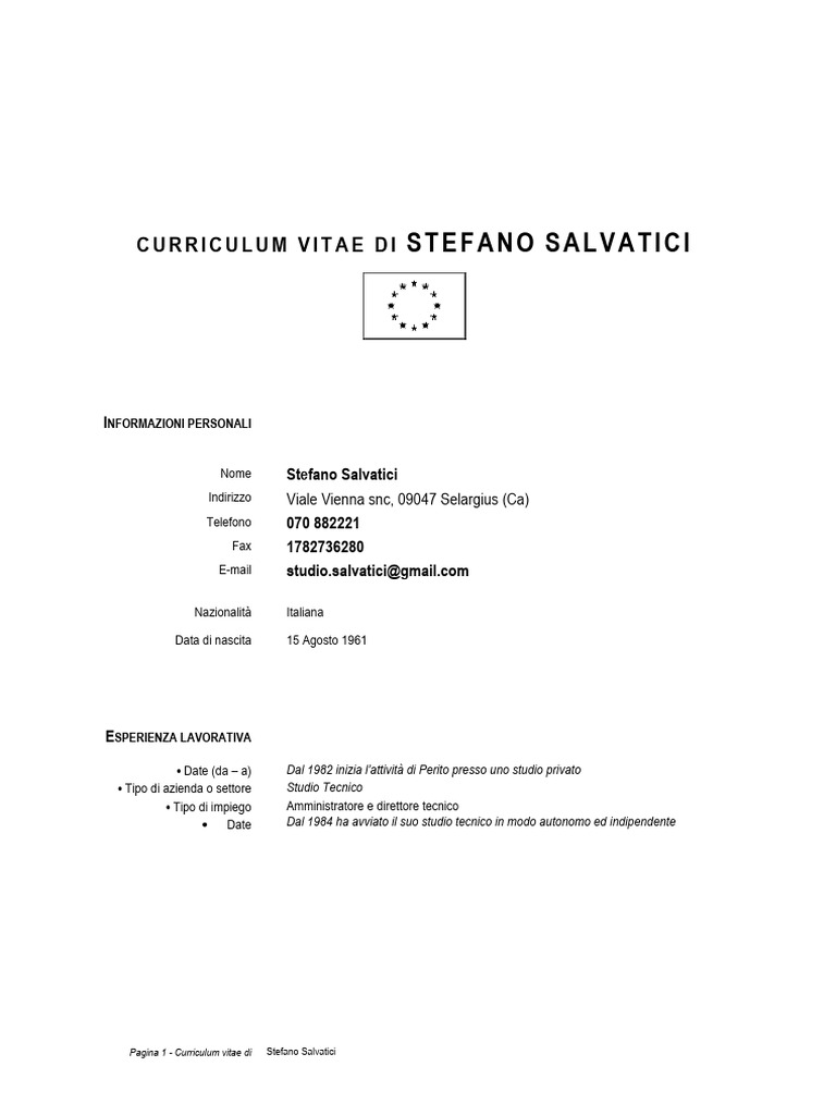 3843 - CURRICULUM 2015 Salvatici Stefano | PDF