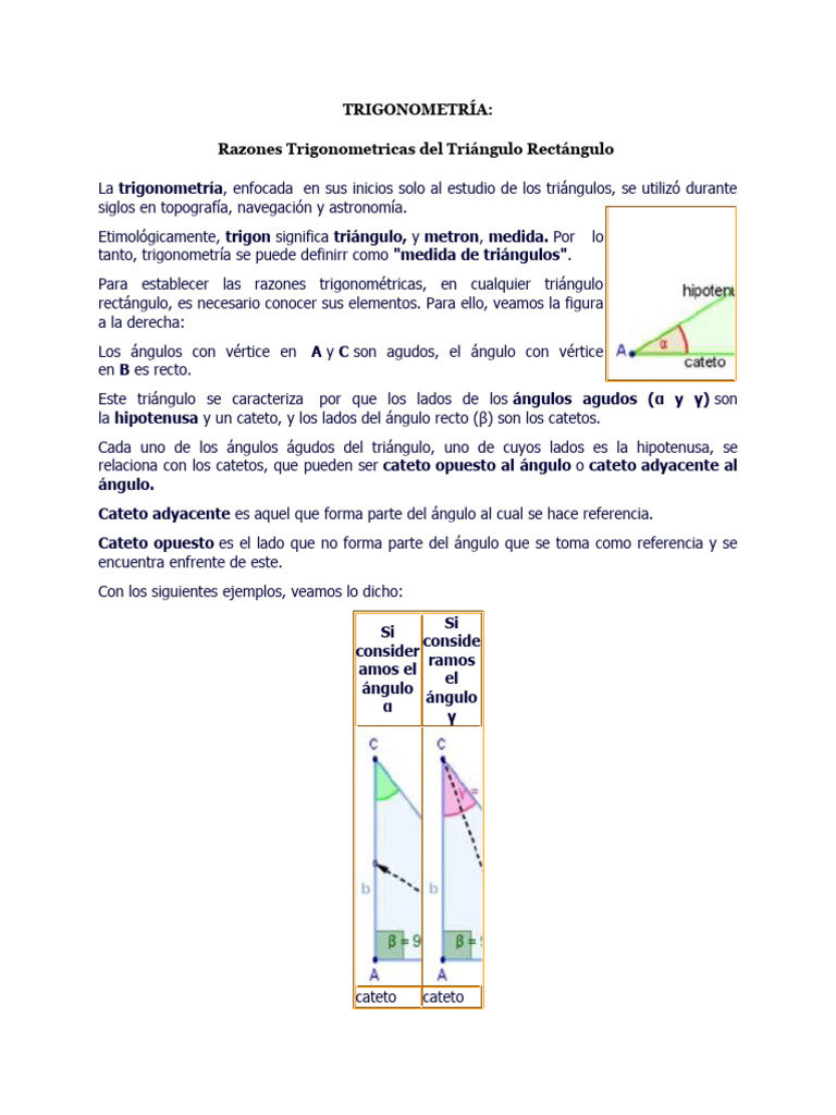 TRIGONOMETRÍA | PDF | Funciones trigonométricas | Triángulo