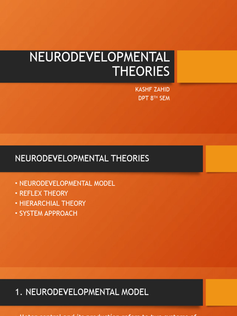 Neurodevelopmental Theories | PDF | Science & Mathematics
