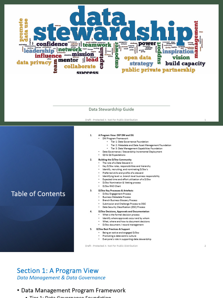 Data Stewardship Template Guide | PDF