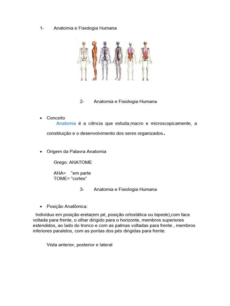 Anatomia e Fisiologia Humana | PDF | Esqueleto | Osso