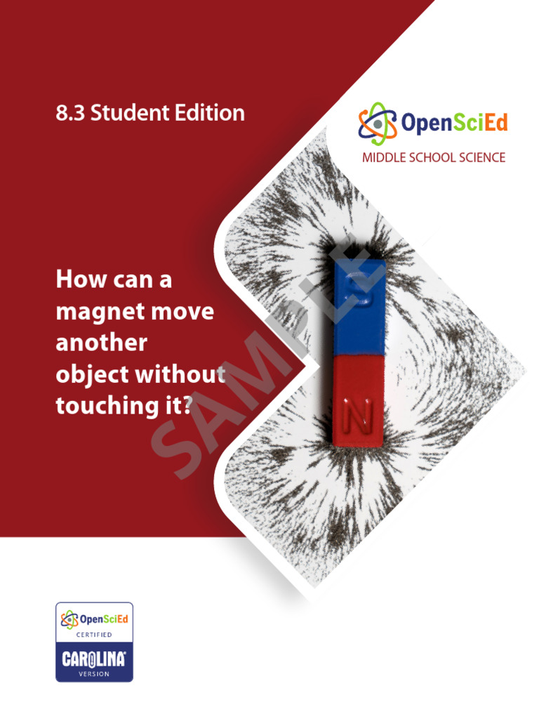 Forces at A Distance - Student Sample | PDF | Magnet | Inductor