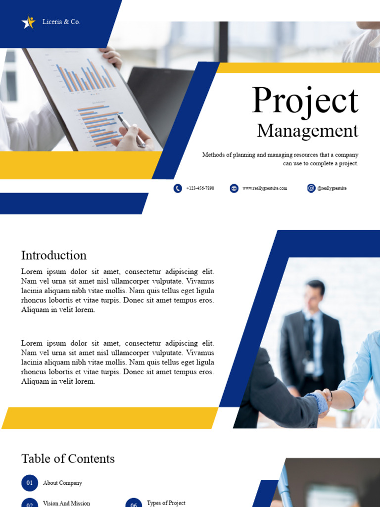 Project Management Strategies Guide | PDF | Business