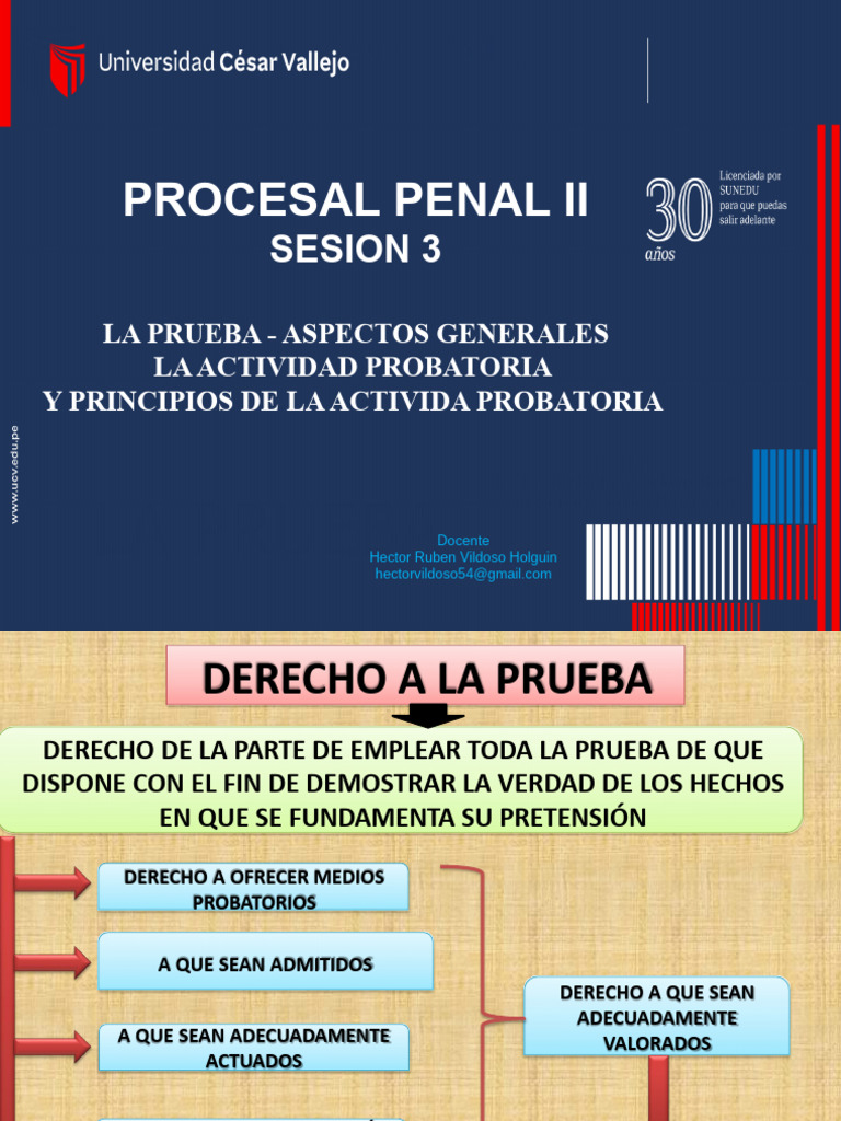 Sesión 3 - Derecho Procesal Penal II La Prueba UCV Lima Norte 2023-II HECTOR VILDOSO | PDF