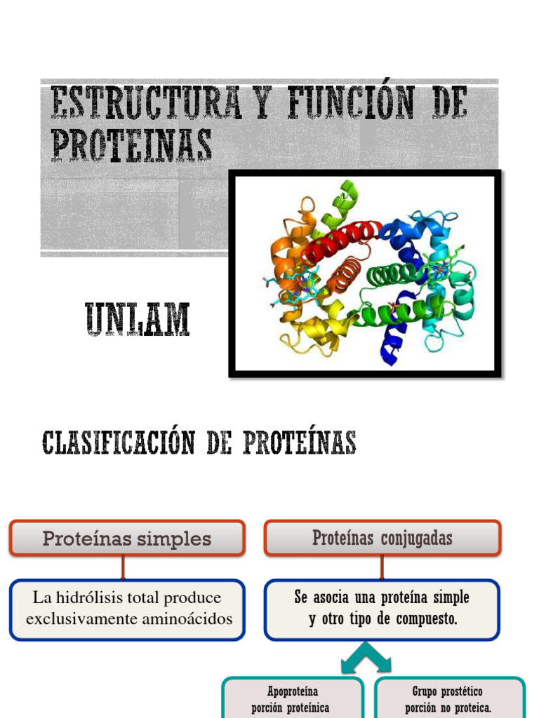 7ma Clase Proteinas 2 | PDF
