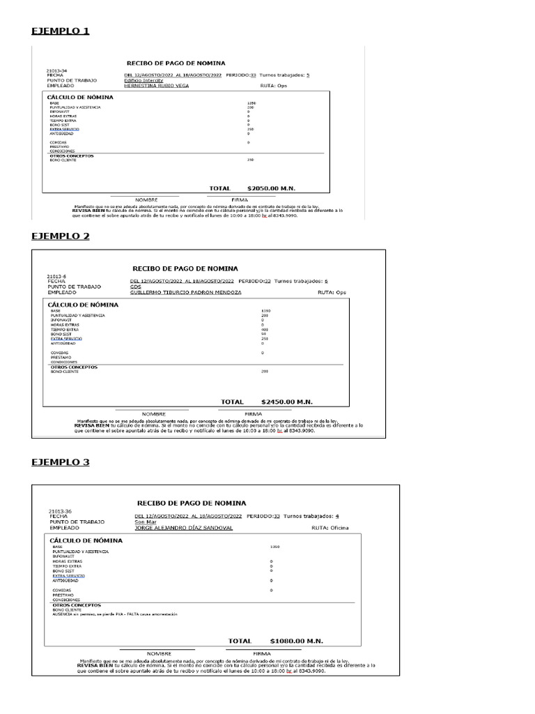 Ejemplos de Documentos Variados | PDF