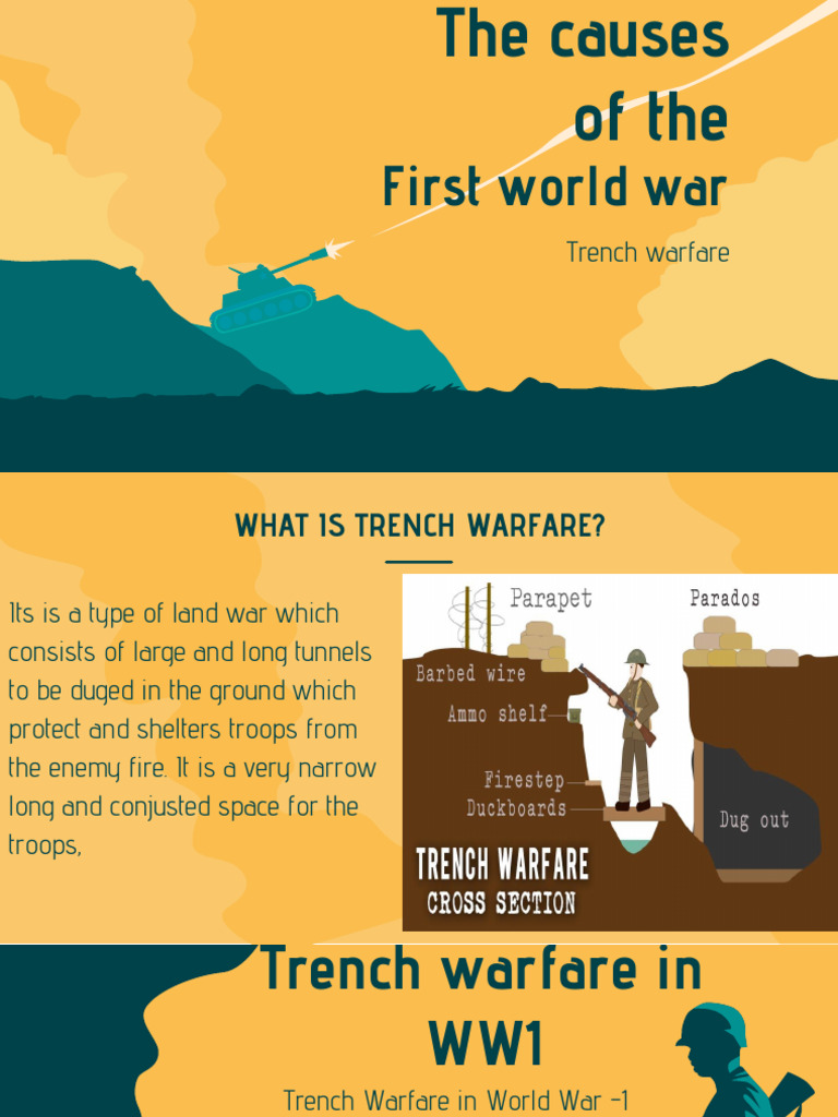 Causes and Effects of WW1 Trench Warfare | PDF | Young Adult | Classics