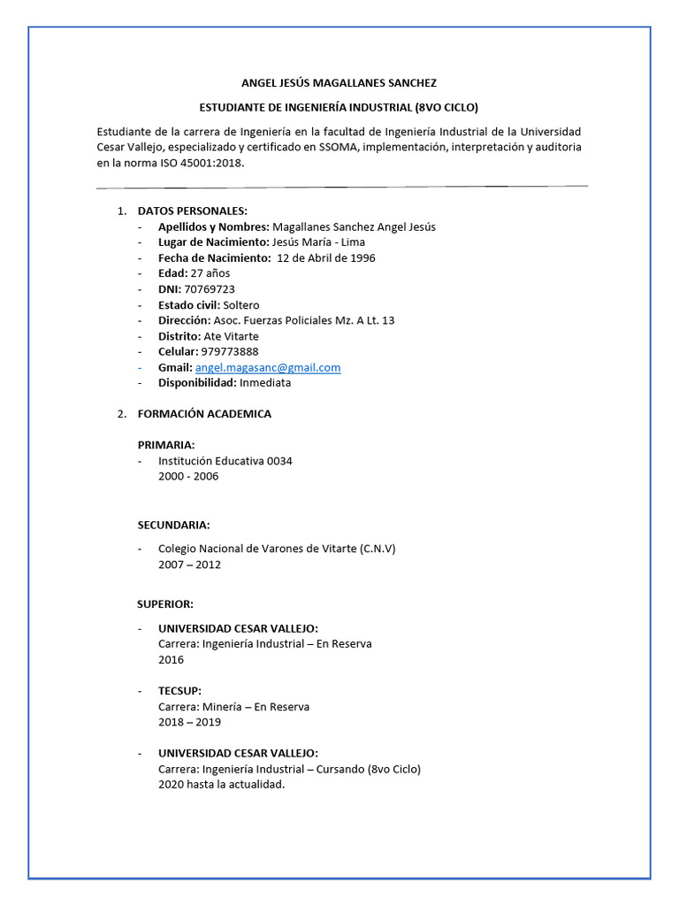 CV 2023 PDF | PDF | Business | Economias