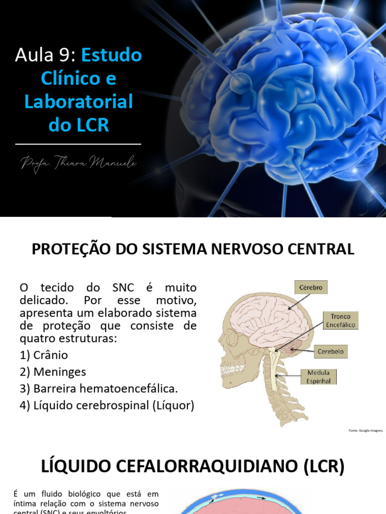 Aula 9 - Estudo Clínico e Laboratorial Do LCR - Profa. Thiara Manuele ...