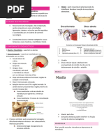 Anatomia da Tuberosidade Massetérica | PDF | Tecido macio | Sistema ...