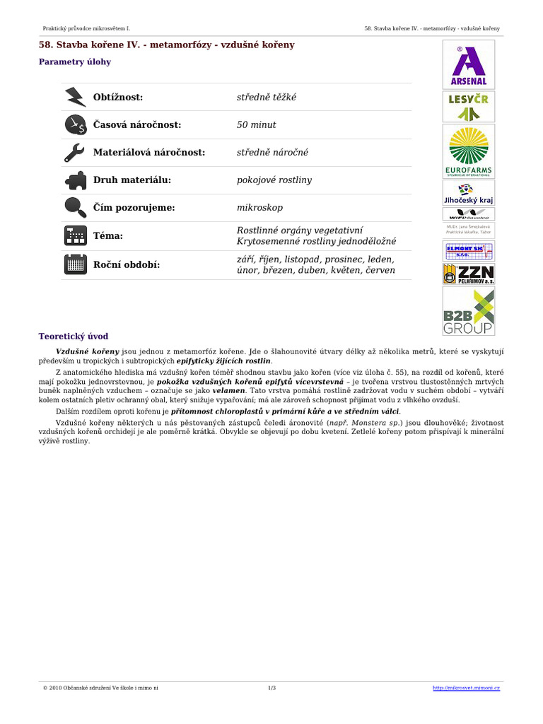 58 Stavba Korene 4 Metamorfozy Vzdusne Koreny | PDF