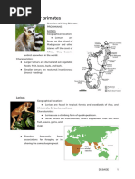 Primate Chart | PDF | Monkey | Ape