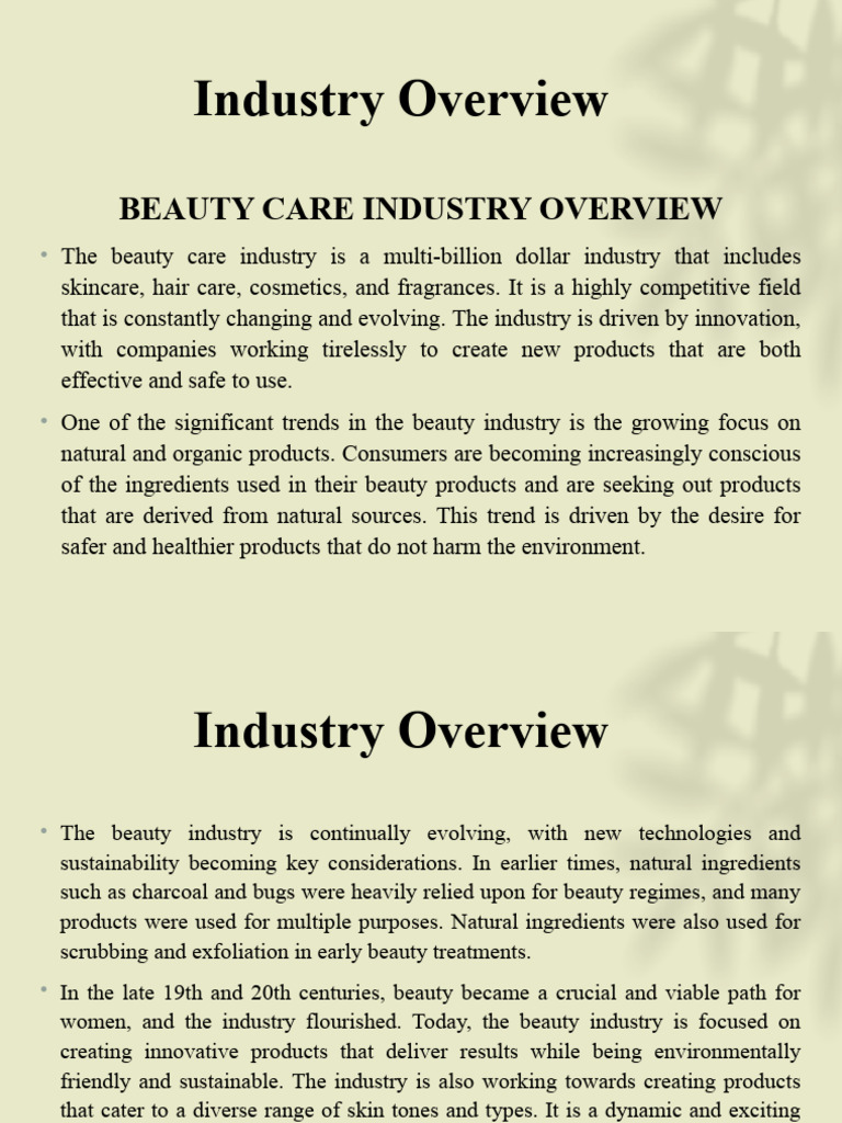 Beauty Care Industry Insights and Strategies | PDF | Social Media ...