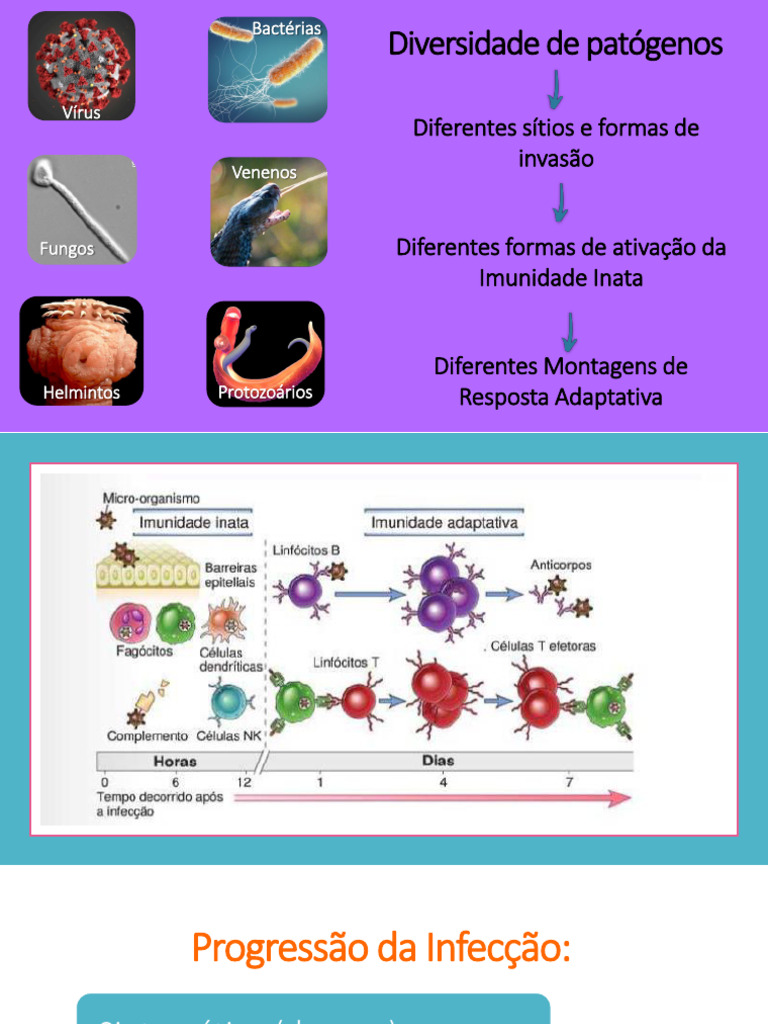 AULA 8 - Resposta Imune Contra Bact Rias e Fungos e Diagn Stico | PDF | Sistema imunológico ...