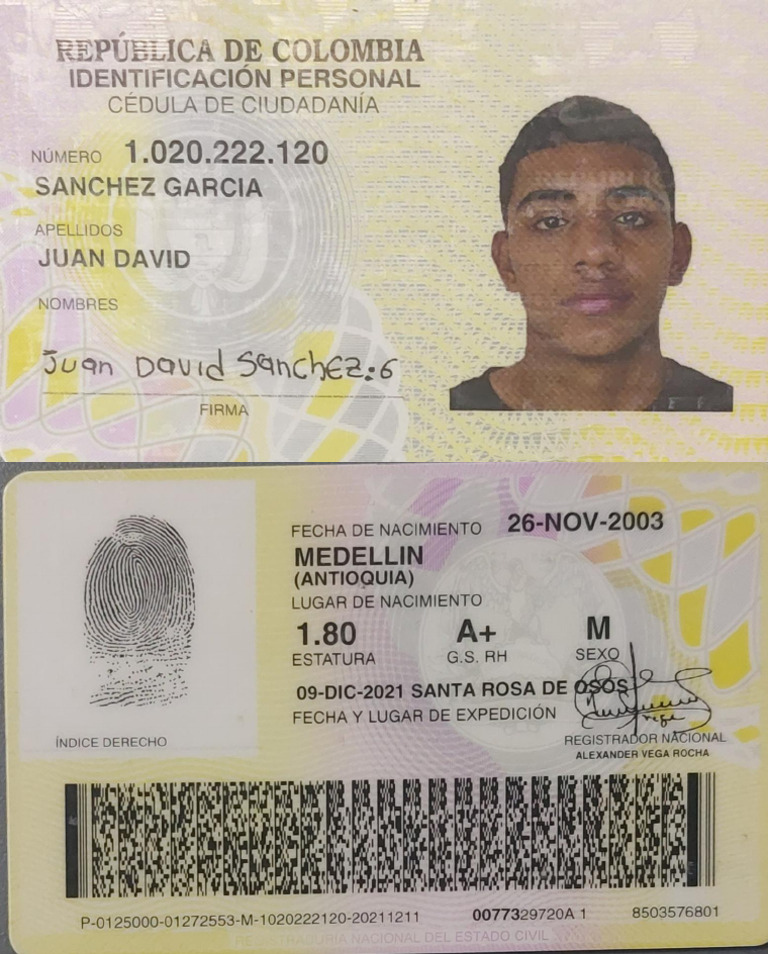 Sanchez Garcia Juan David | PDF