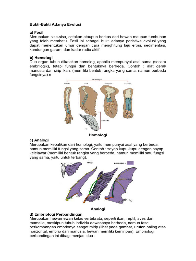 Bukti dan Mekanisme Evolusi | PDF