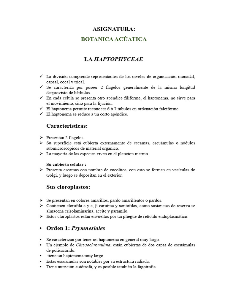 Características de la Haptophyceae Acuática | PDF