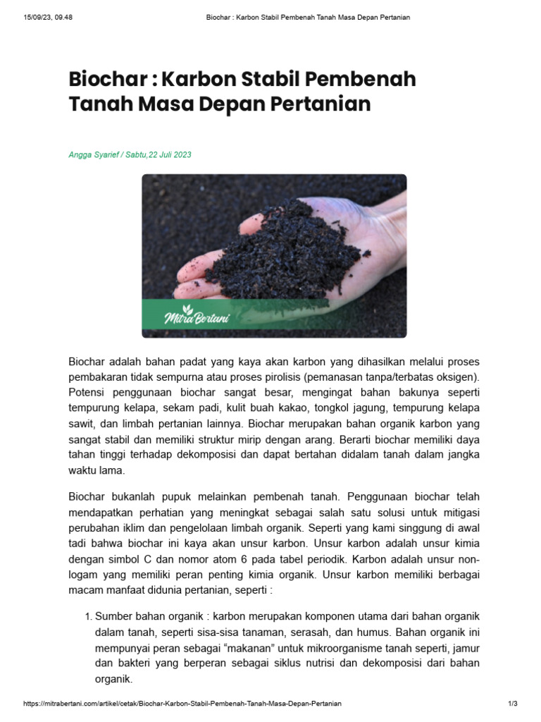 Biochar - Karbon Stabil Pembenah Tanah Masa Depan Pertanian | PDF