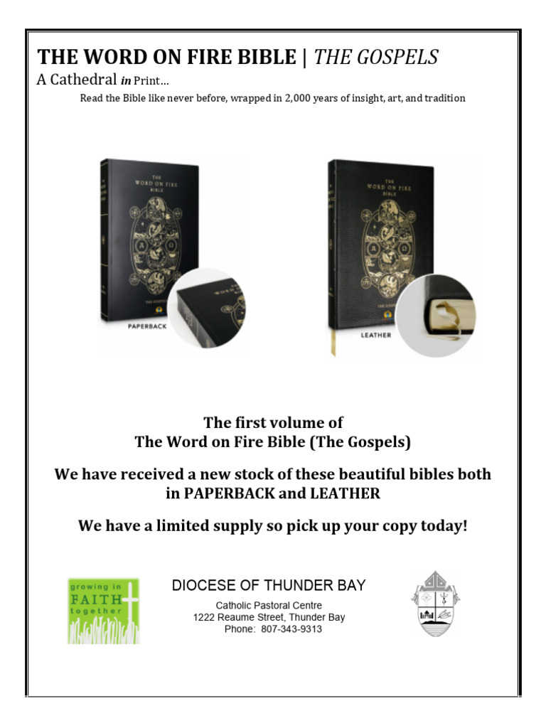 Word on Fire Bible: The Gospels Volume 1 | PDF