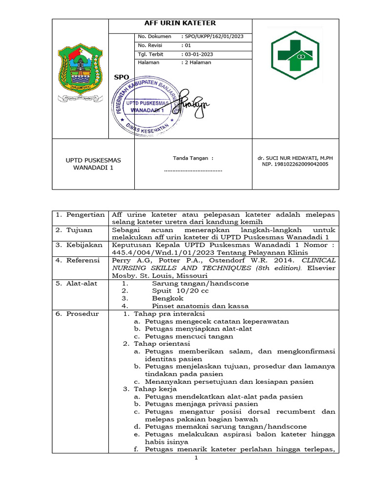 Spo Aff Kateter | PDF