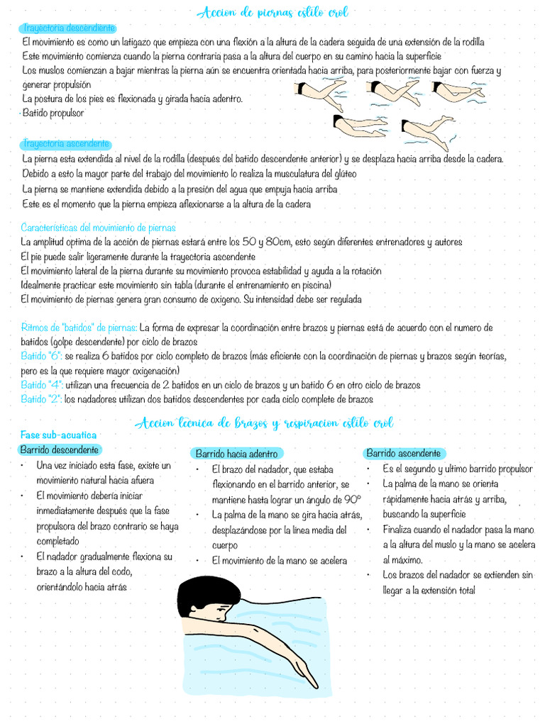 Solemne II Natación | PDF | Nadando | Rodilla