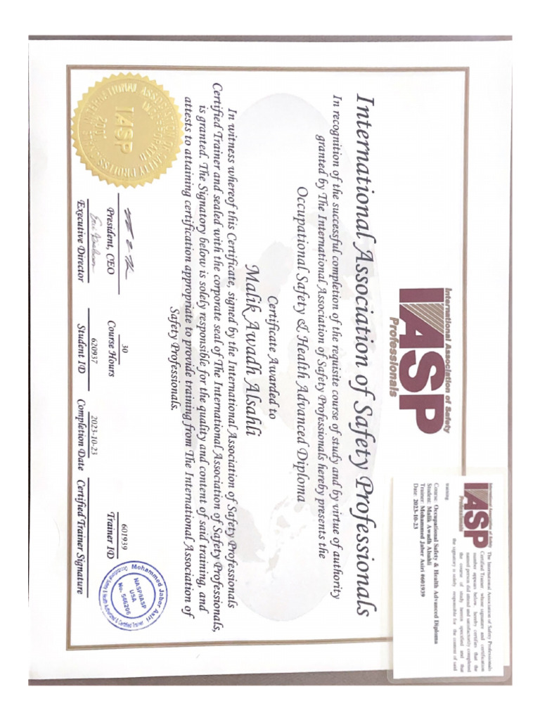 The International Association of Safety Professionals | PDF