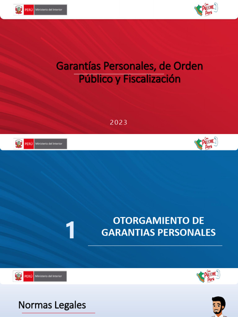 Garantias Personales Orden Publico Fiscalizacion | PDF | Violencia | Derecho Constitucional