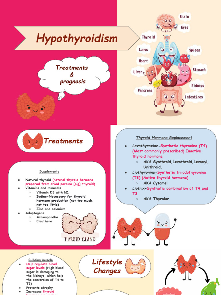 Stepful Project | PDF