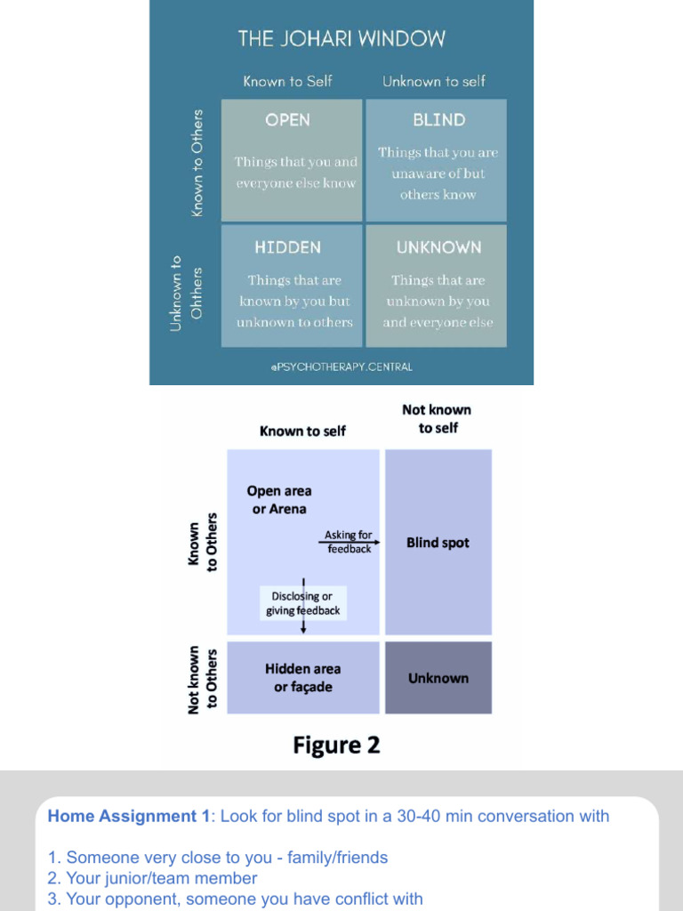 Johari Window Assignment | PDF